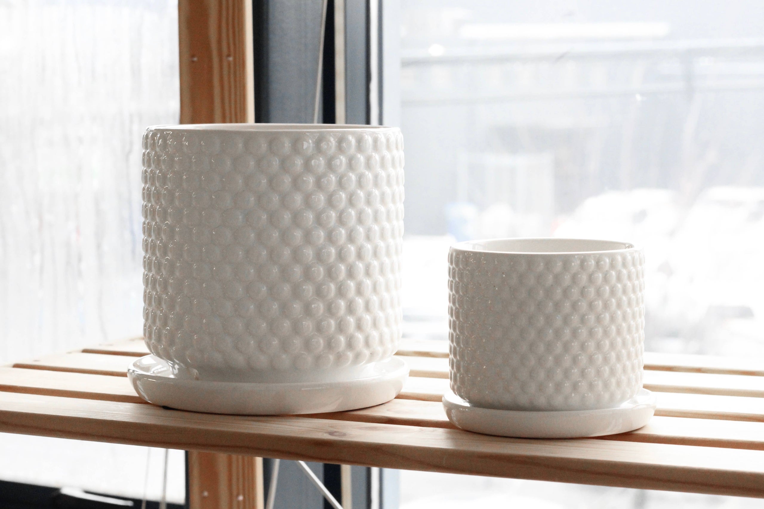 Large Bubble Textured Plant Pot in White Ceramic With Saucer | The Root